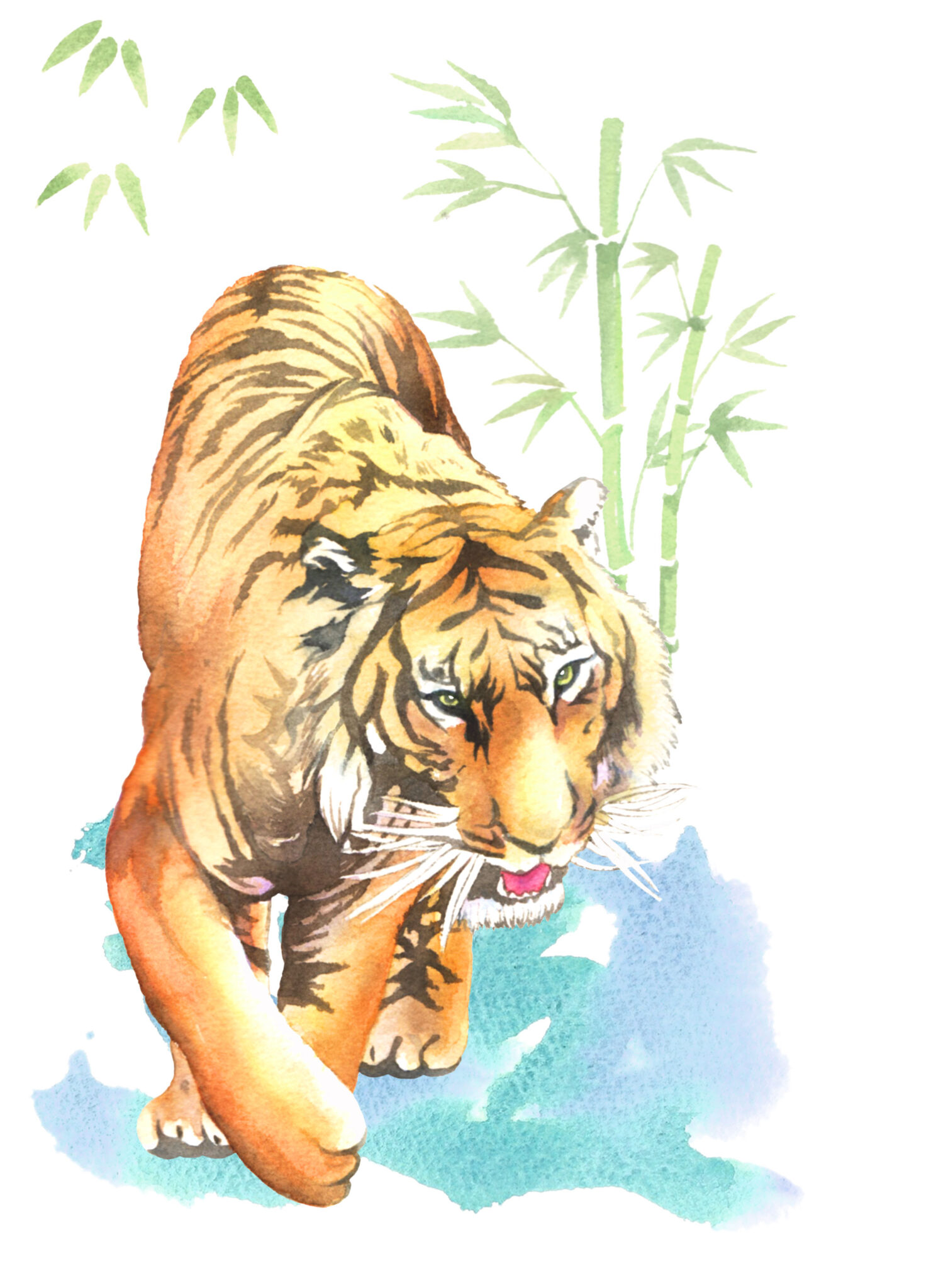 虎01 | Studio Bambou