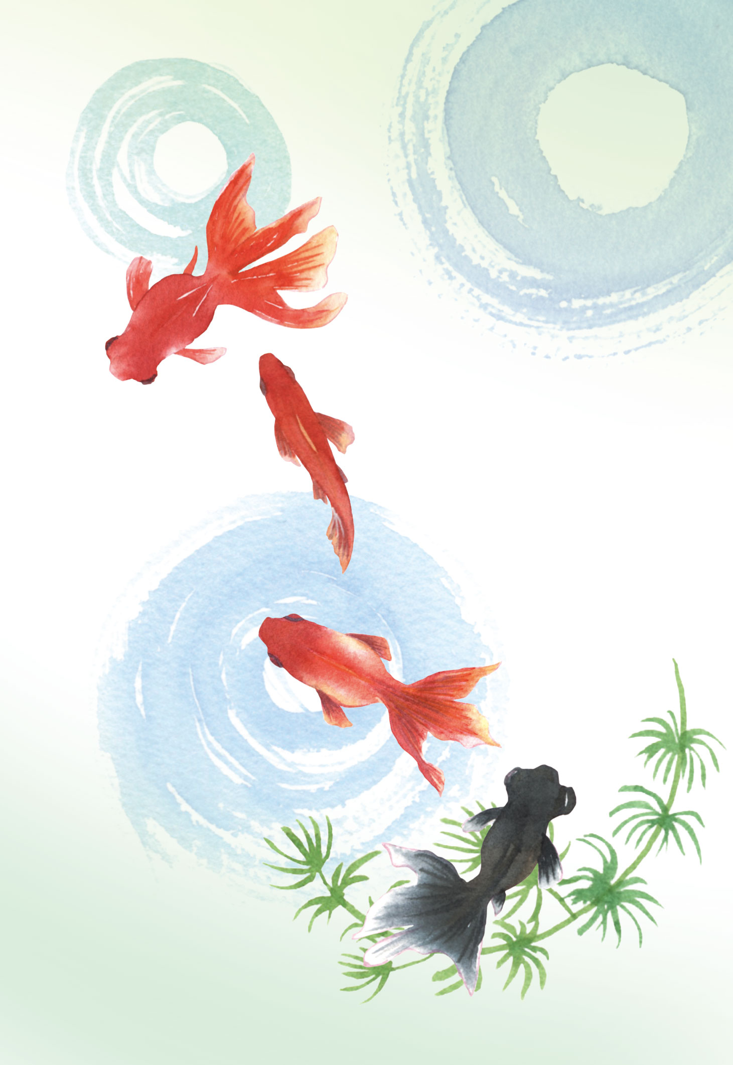 金魚 | Studio Bambou